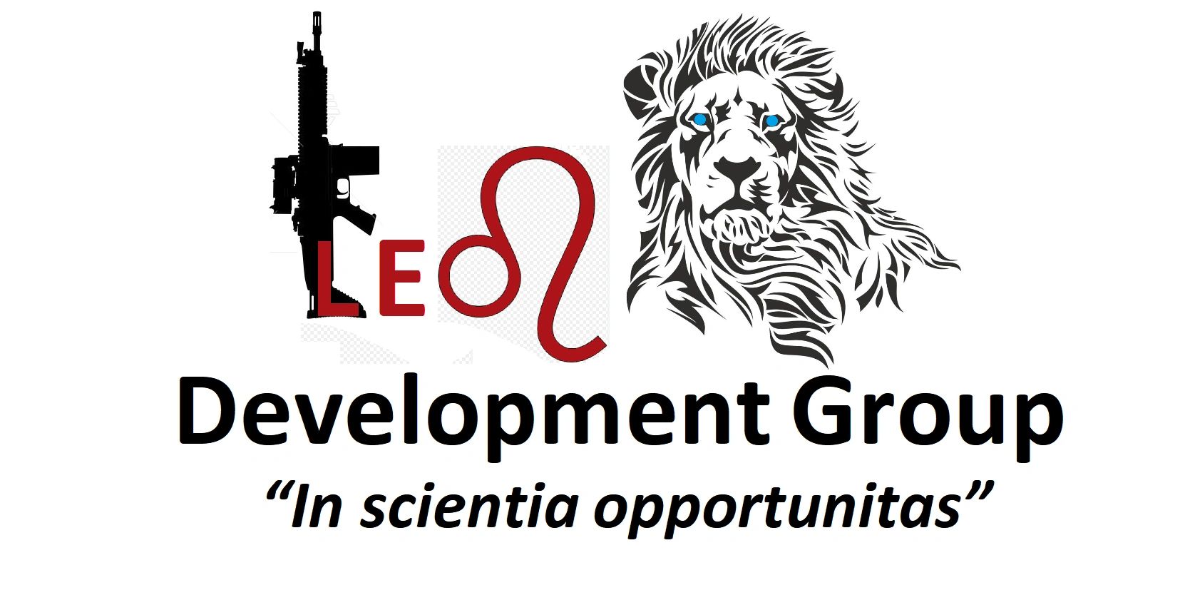 Firearms - Leo Development Group LLC